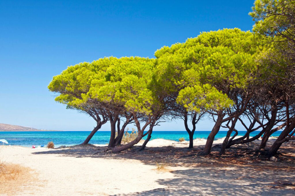 Futura Futura Club Cala Fiorita - Budoni